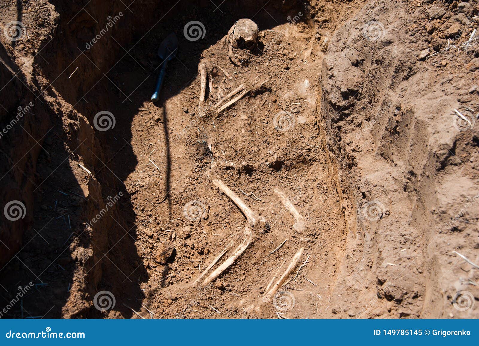 Skeleton Soldier of the Second World War Stock Image - Image of ...