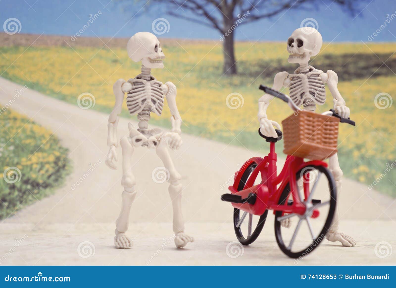 Skeleton springtime stock image. Image of scary, romantic - 74128653
