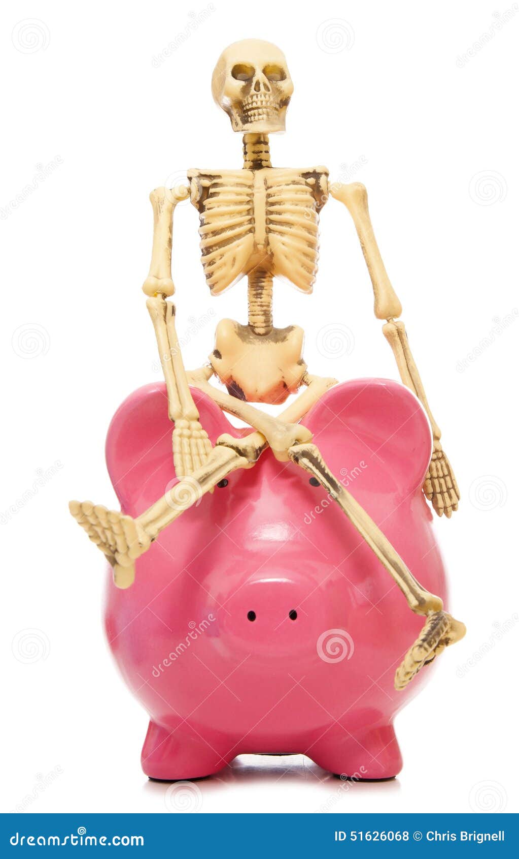 Skeleton staff piggy bank stock photo. Image of generation - 51626068