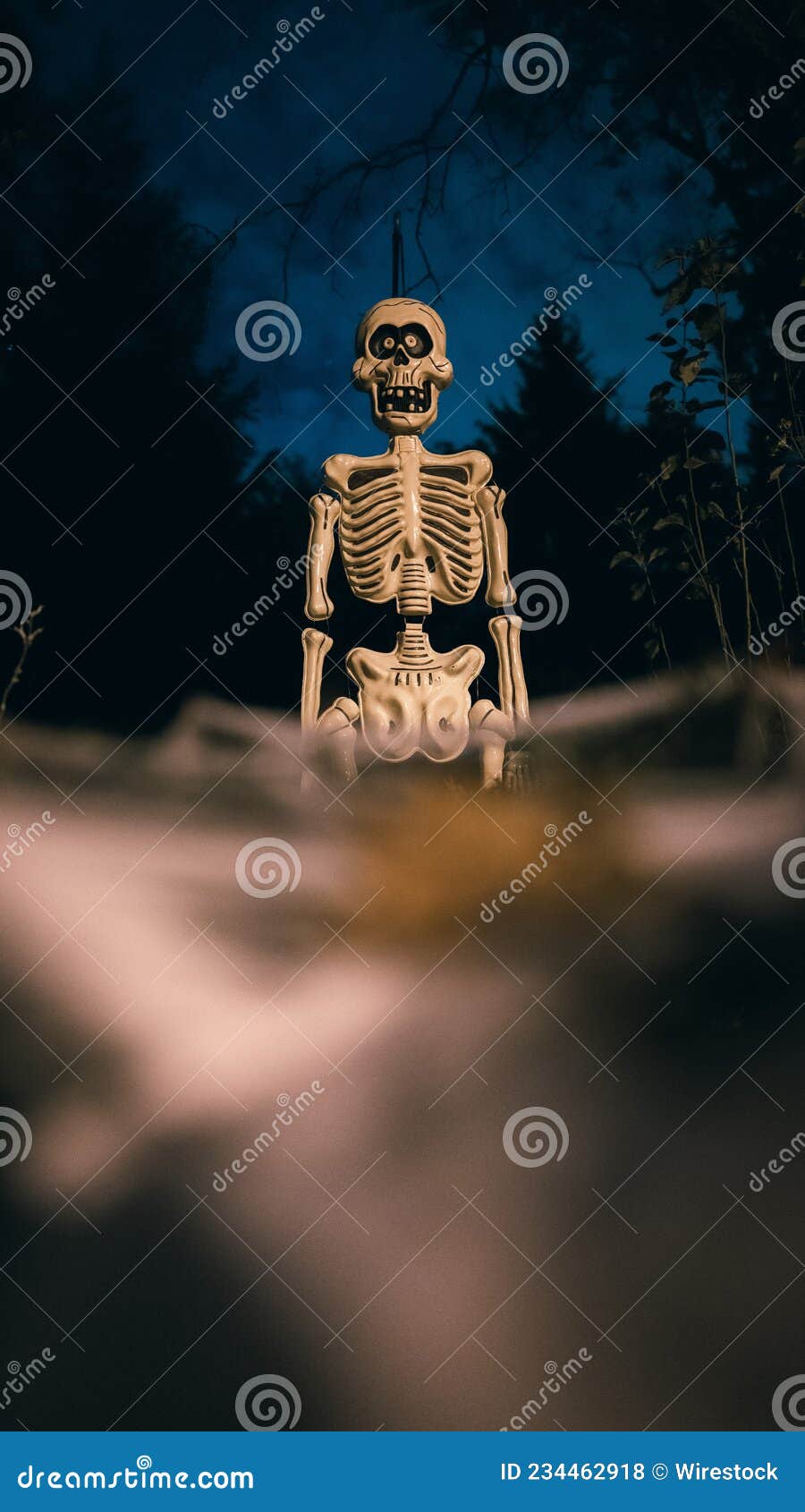 Skeleton Standing on the Dark Jungle Stock Photo - Image of night ...