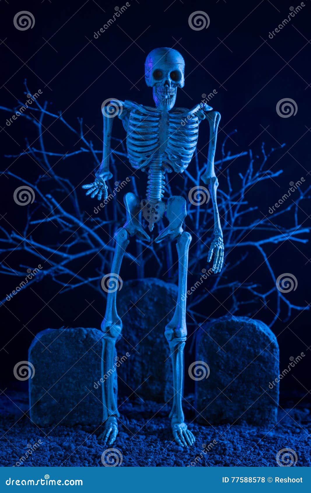 Skeleton Standing at the Graveyard Stock Photo - Image of ghost, sullen ...