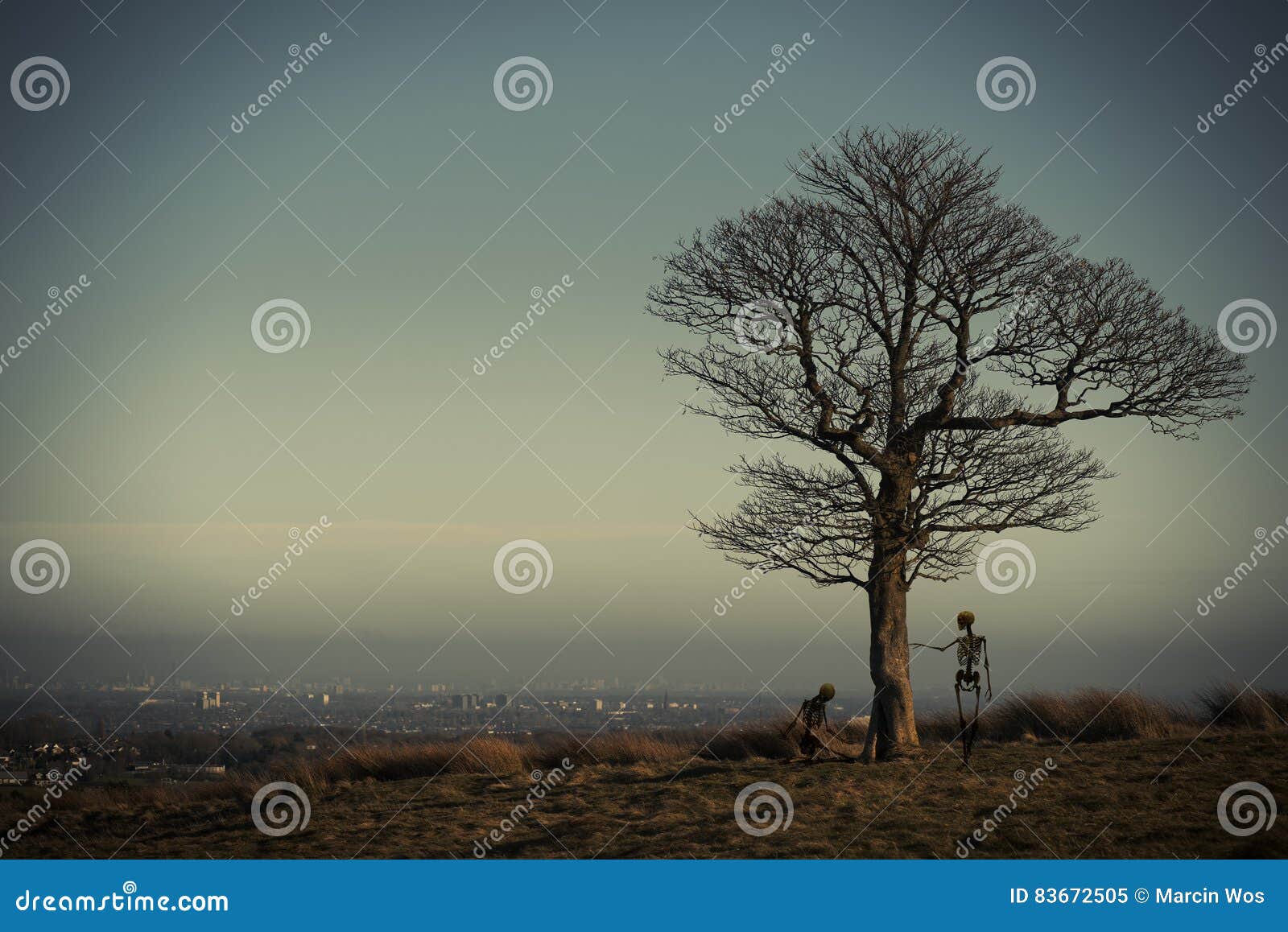 Skeleton Standing Next To The Lonely Oak Tree Royalty-Free Stock Photo ...