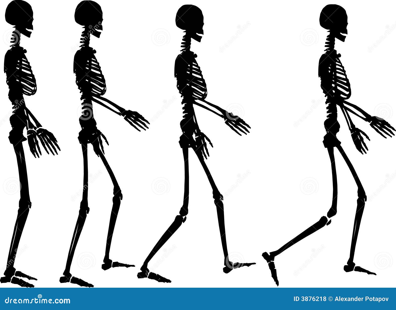 Skeleton step stock illustration. Illustration of person - 3876218