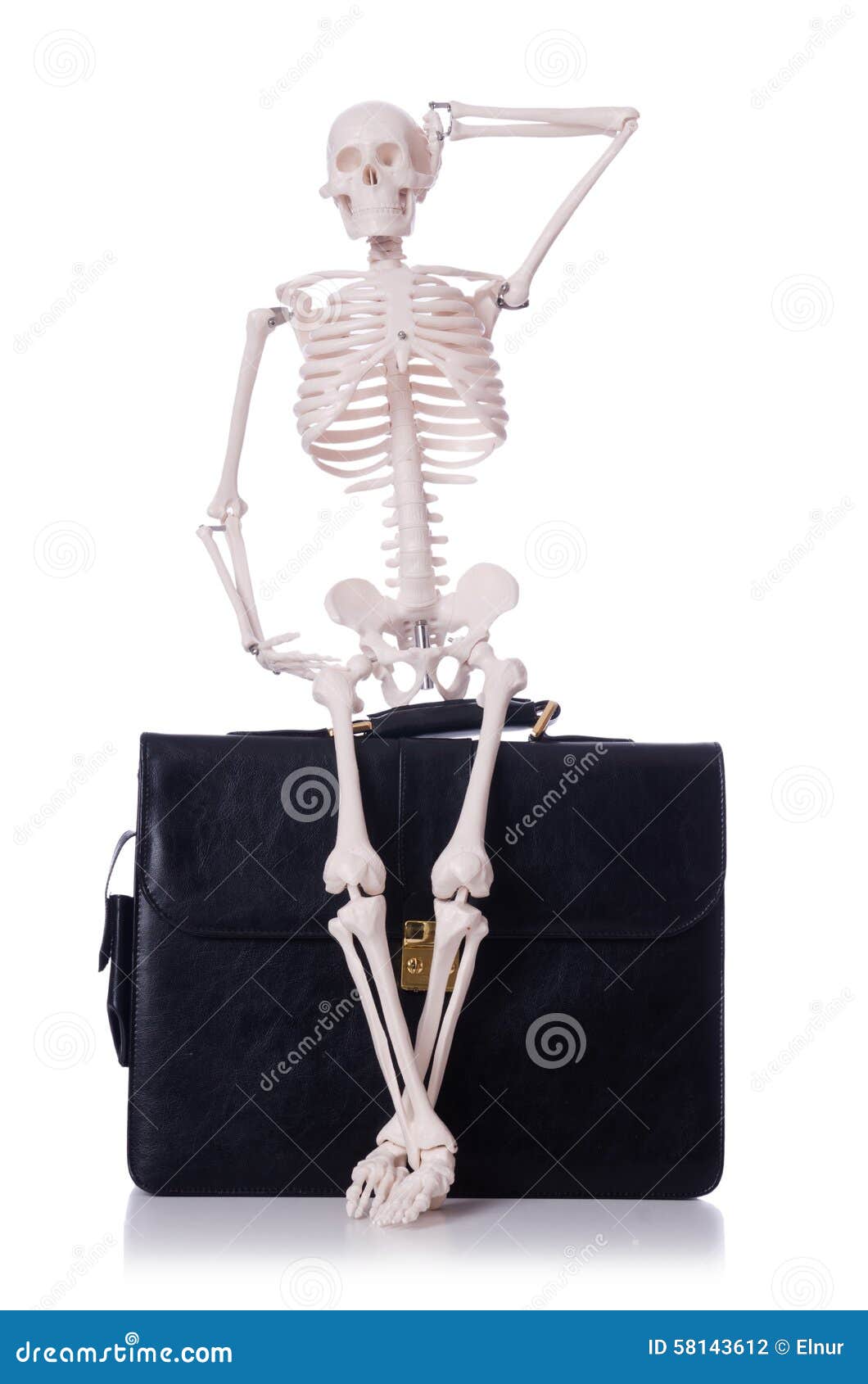 Skeleton with suitcase stock photo. Image of funny, professional - 58143612