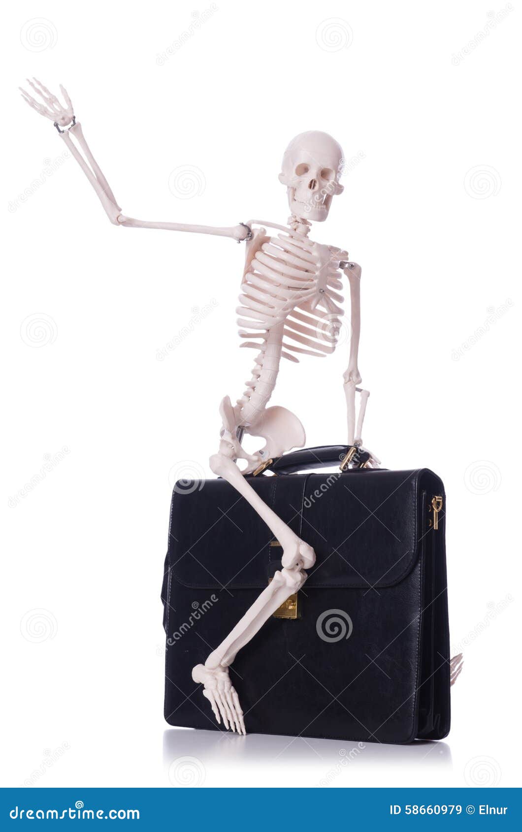 Skeleton with Suitcase Isolated on White Stock Image - Image of overdue ...