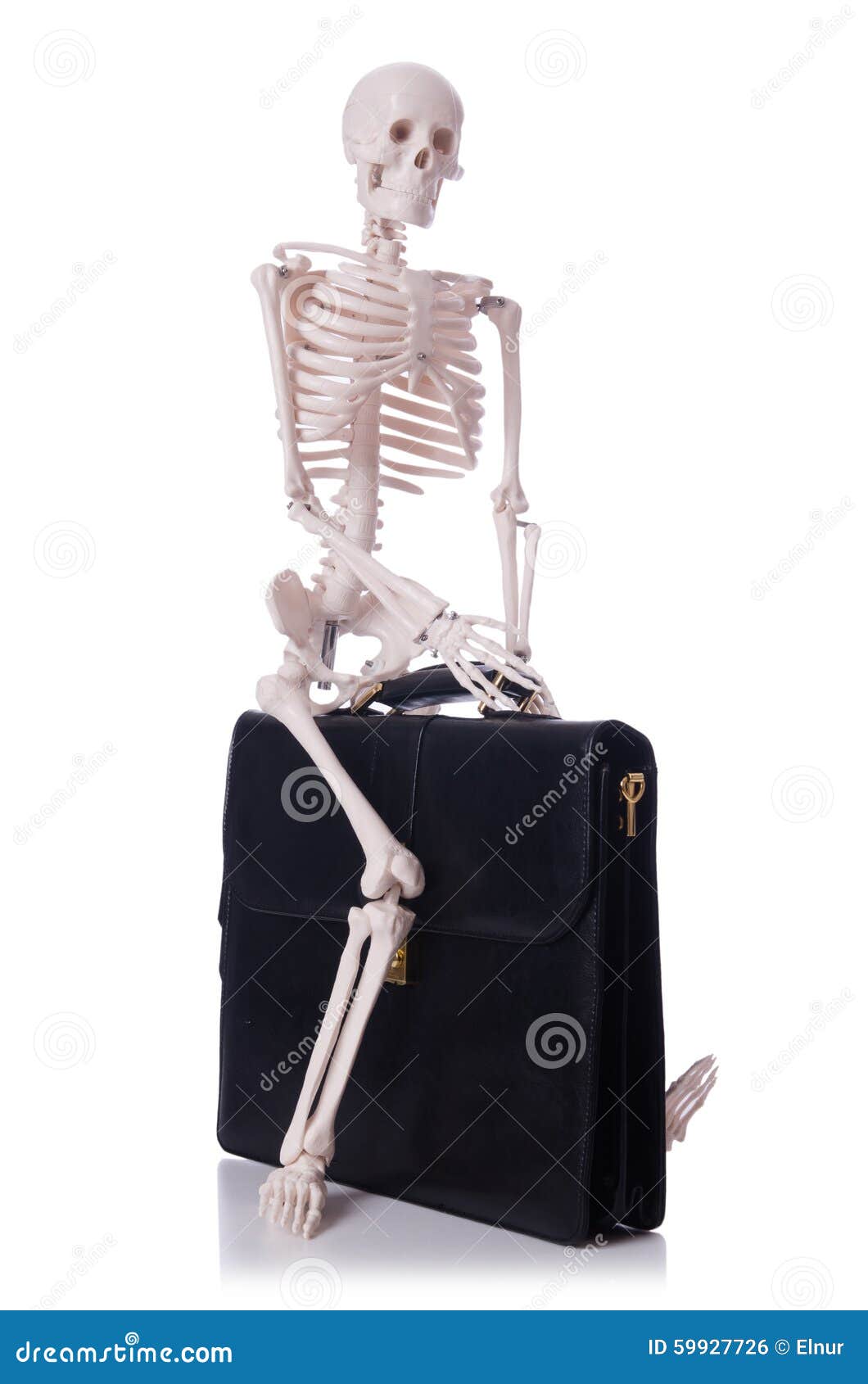 Skeleton with Suitcase Isolated on White Stock Photo - Image of dead ...