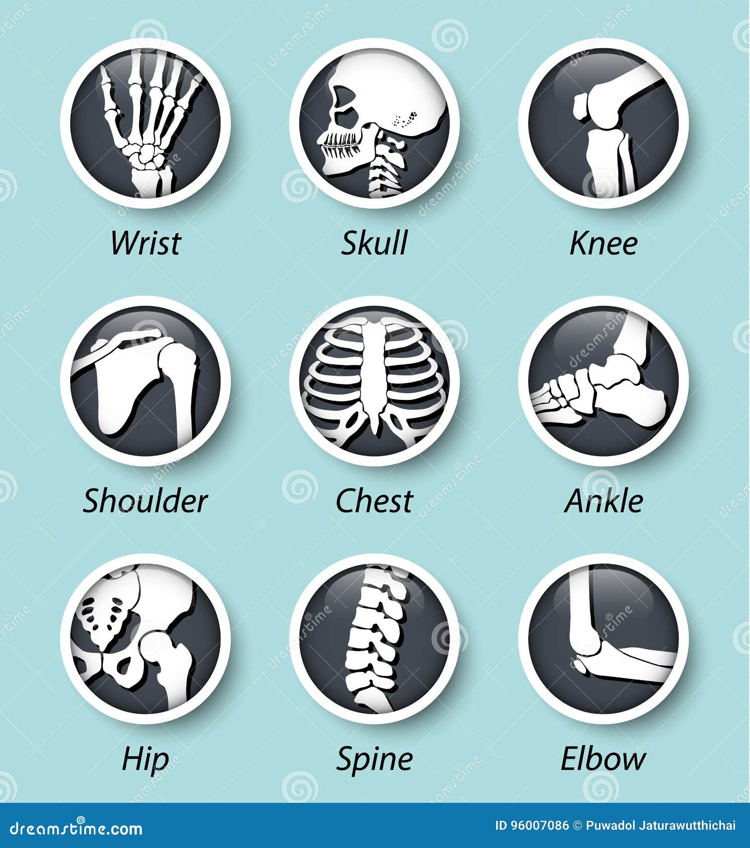 Glass Elbow Stock Illustrations – 128 Glass Elbow Stock Illustrations ...