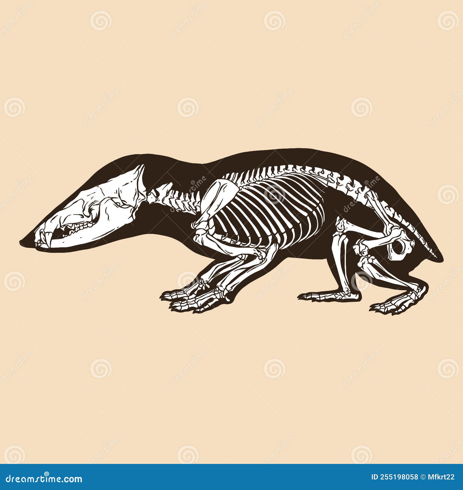 Tenrec Cartoons, Illustrations & Vector Stock Images - 27 Pictures to ...
