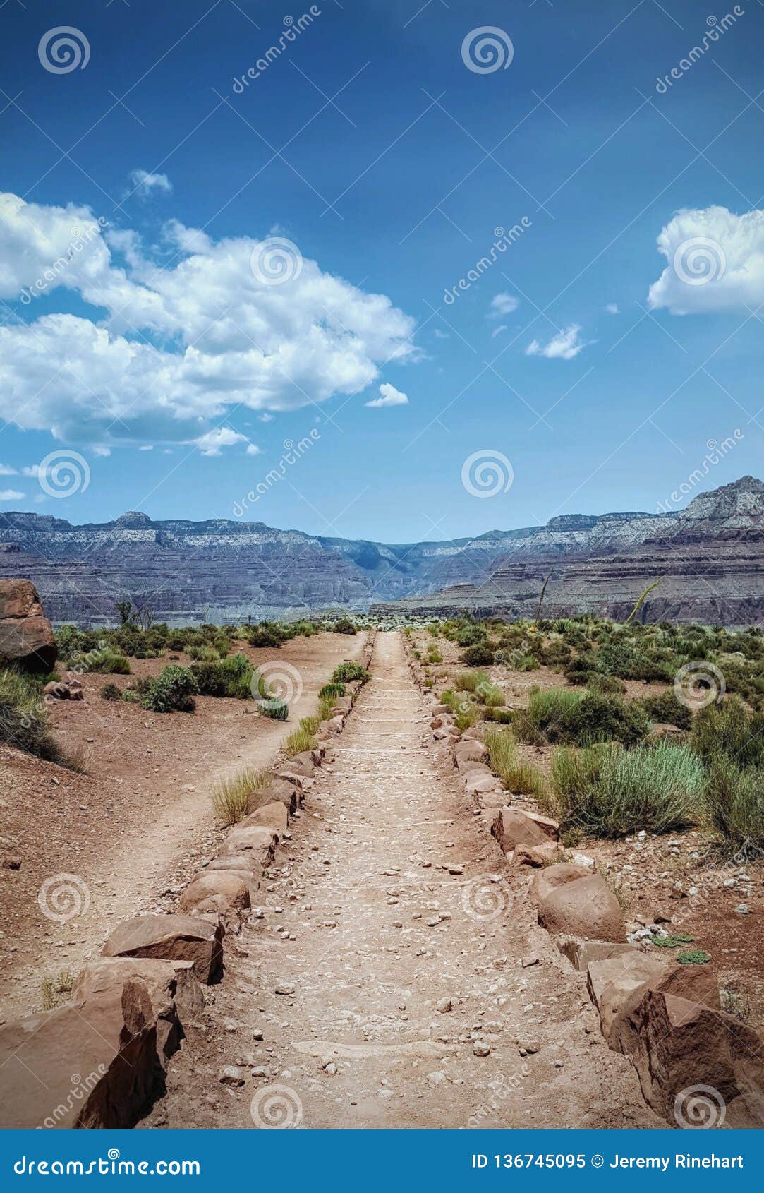 Skeleton trail stock image. Image of grand, skeleton - 136745095