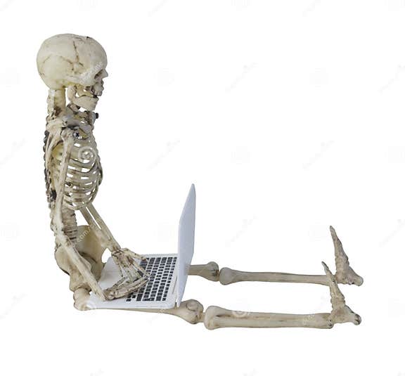 Skeleton Using Laptop stock image. Image of management - 61832989