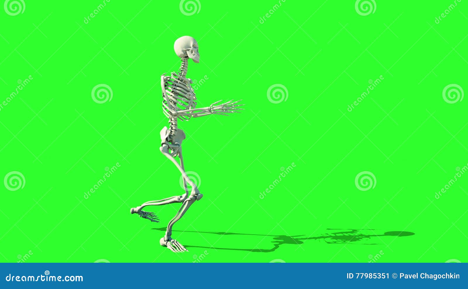 Skeleton Walk Animation. GI Render. Green Screen Footage. Halloween ...