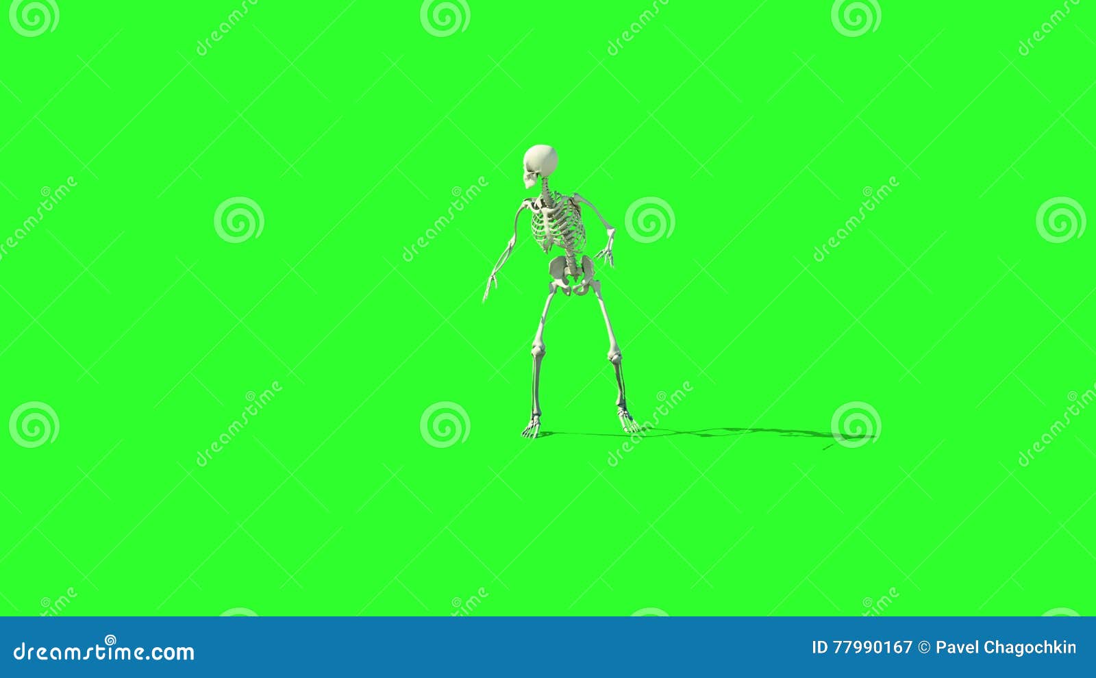 Skeleton Walk Animation. GI Render. Green Screen Footage. Halloween ...