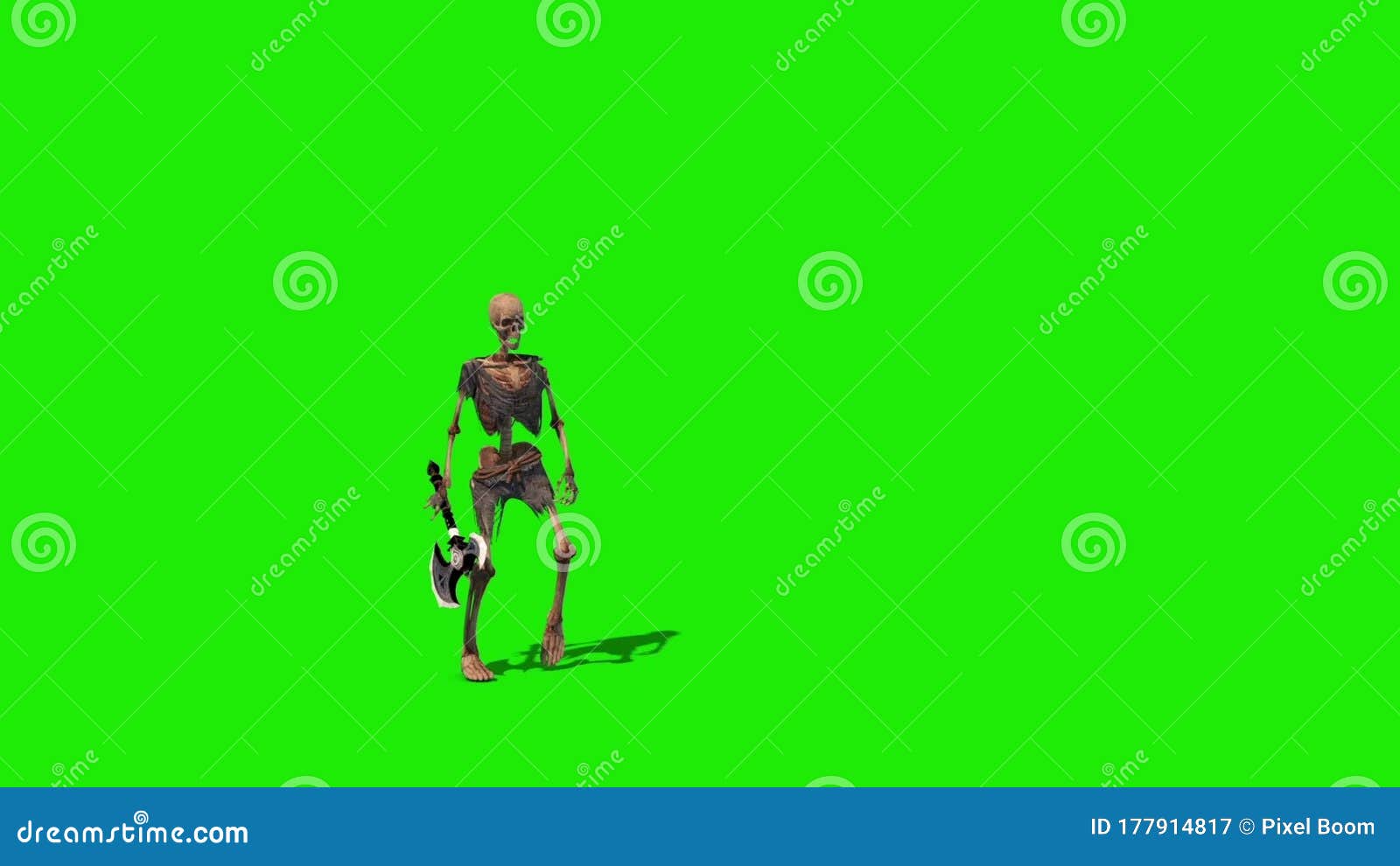 Skeleton Warrior Green Screen Walks Front 3D Rendering Animation Stock ...