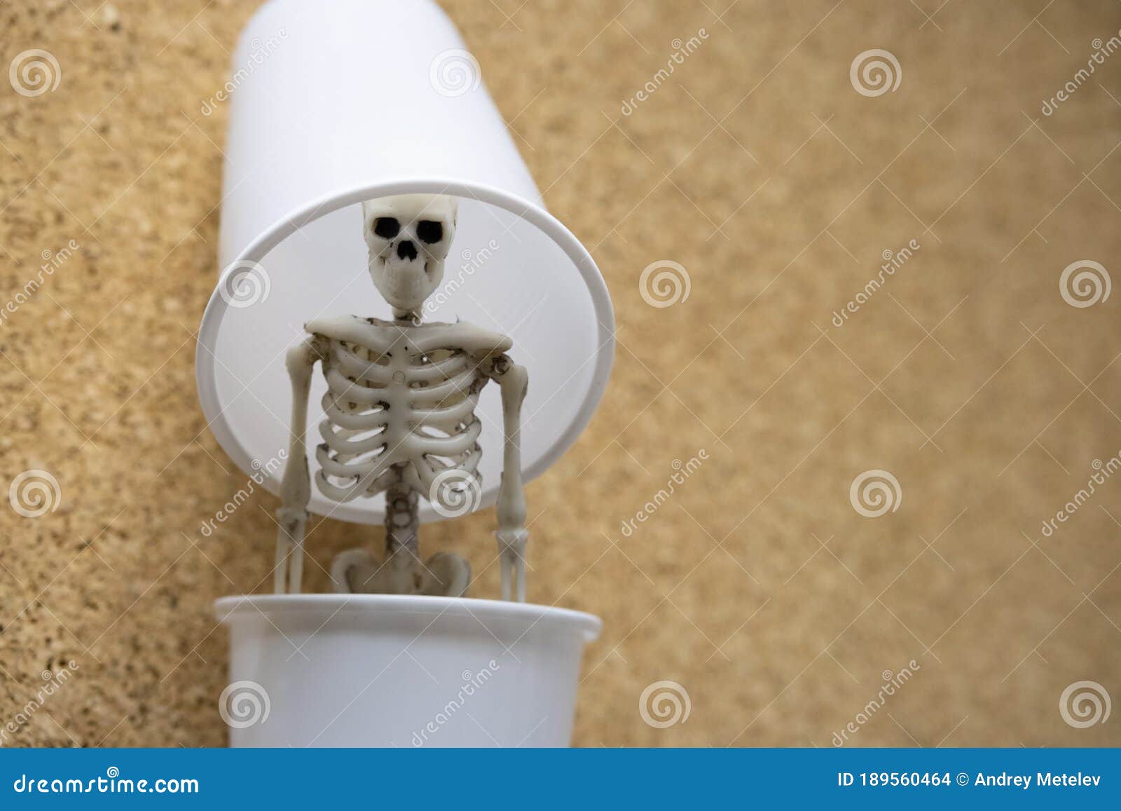 The Skeleton Was Hidden in a Plastic Container Stock Photo - Image of ...