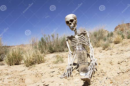 Skeleton Water Desert stock image. Image of death, human - 30969297
