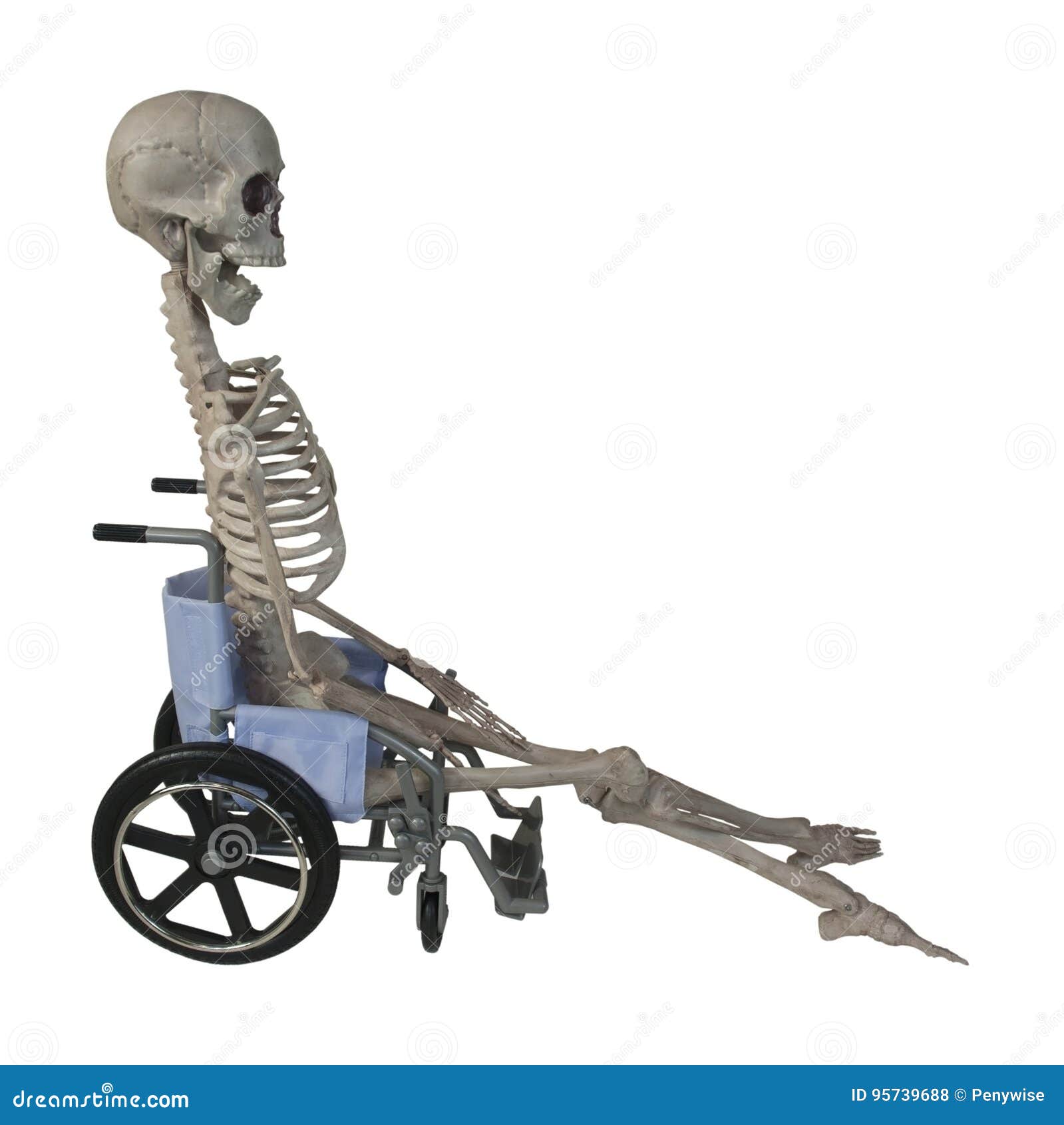 Skeleton in a Wheelchair stock photo. Image of handicapped - 95739688