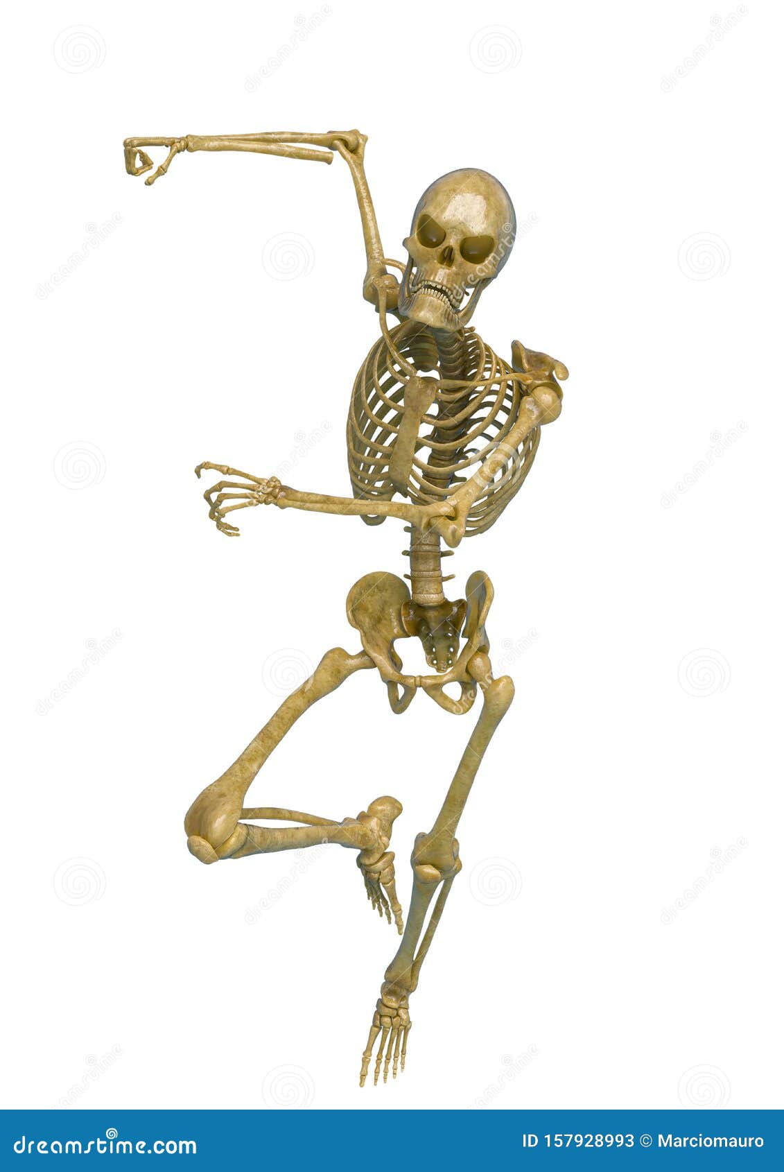 Skeleton In A White Background Running With A Angry Face Stock ...