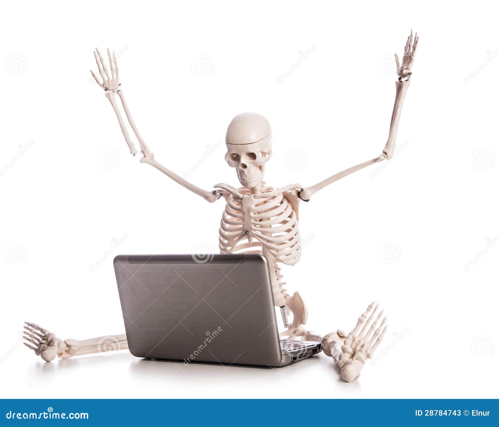 Skeleton Working Stock Photos - Image: 28784743