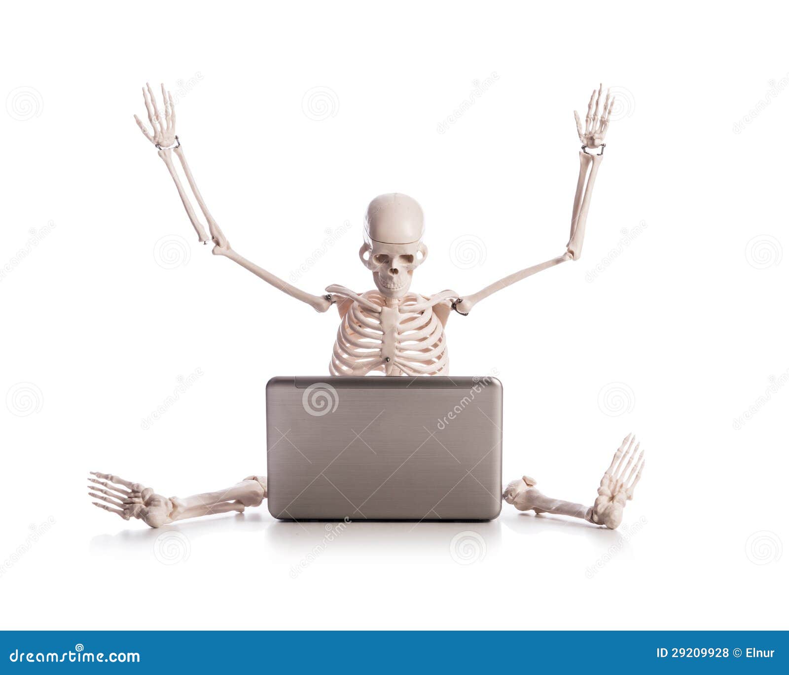 Skeleton working on laptop stock photo. Image of death - 29209928