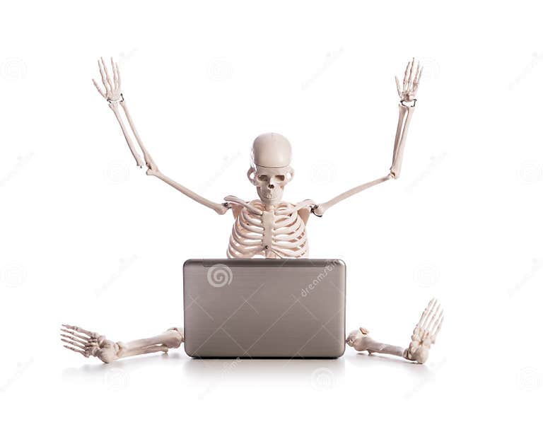 Skeleton working on laptop stock photo. Image of death - 29209928