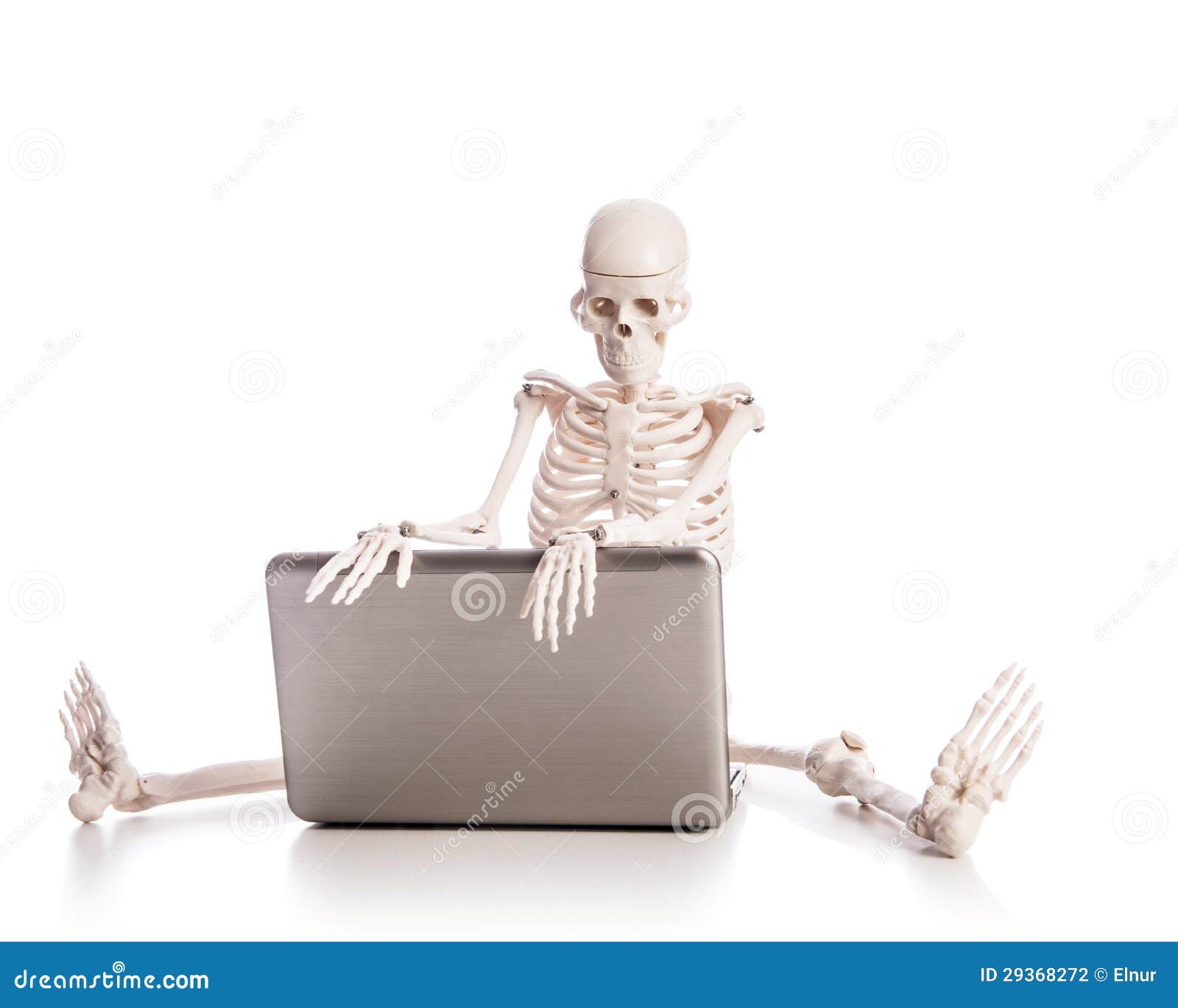 Skeleton working stock photo. Image of halloween, hacker - 29368272
