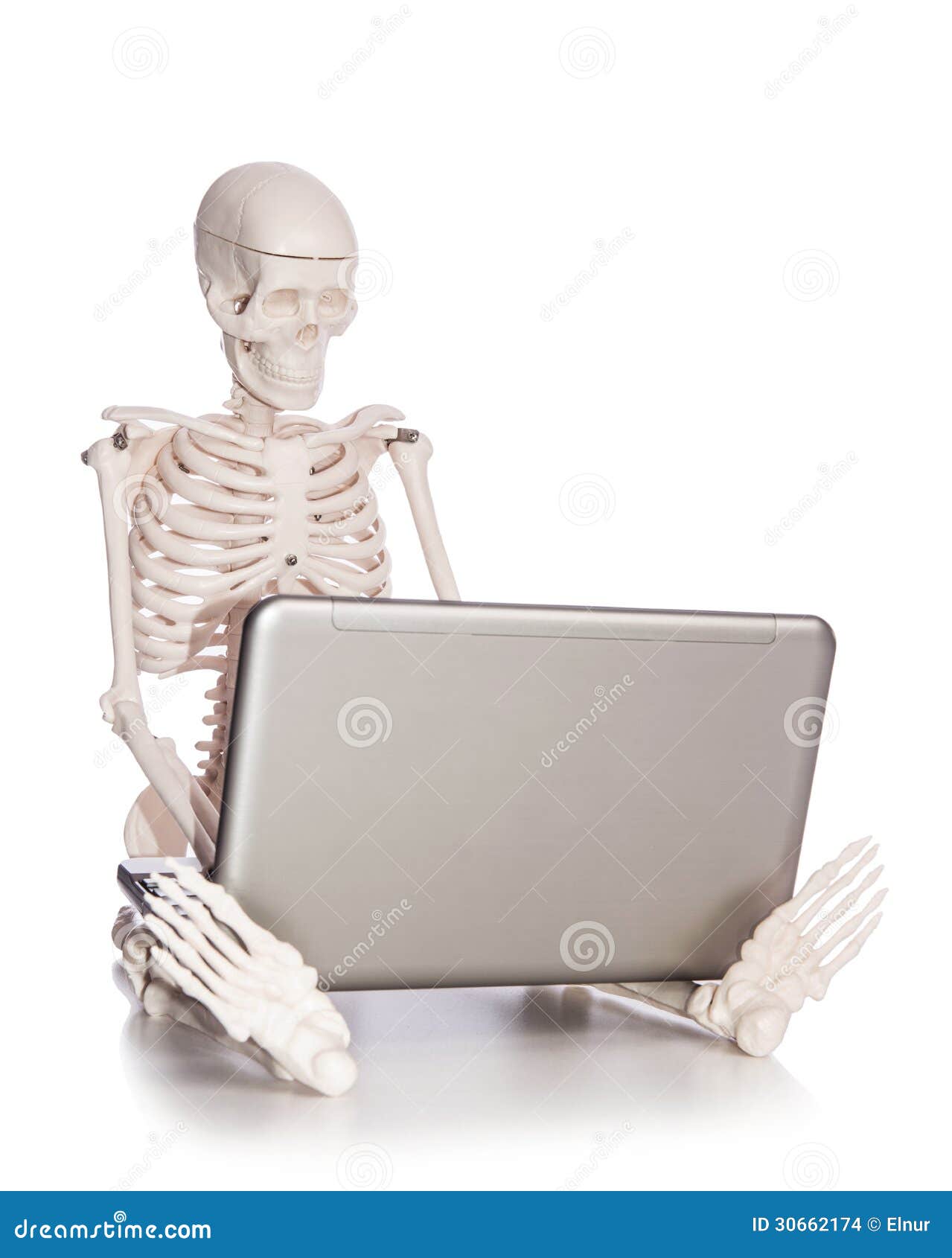 Skeleton working on laptop stock photo. Image of hacker - 30662174