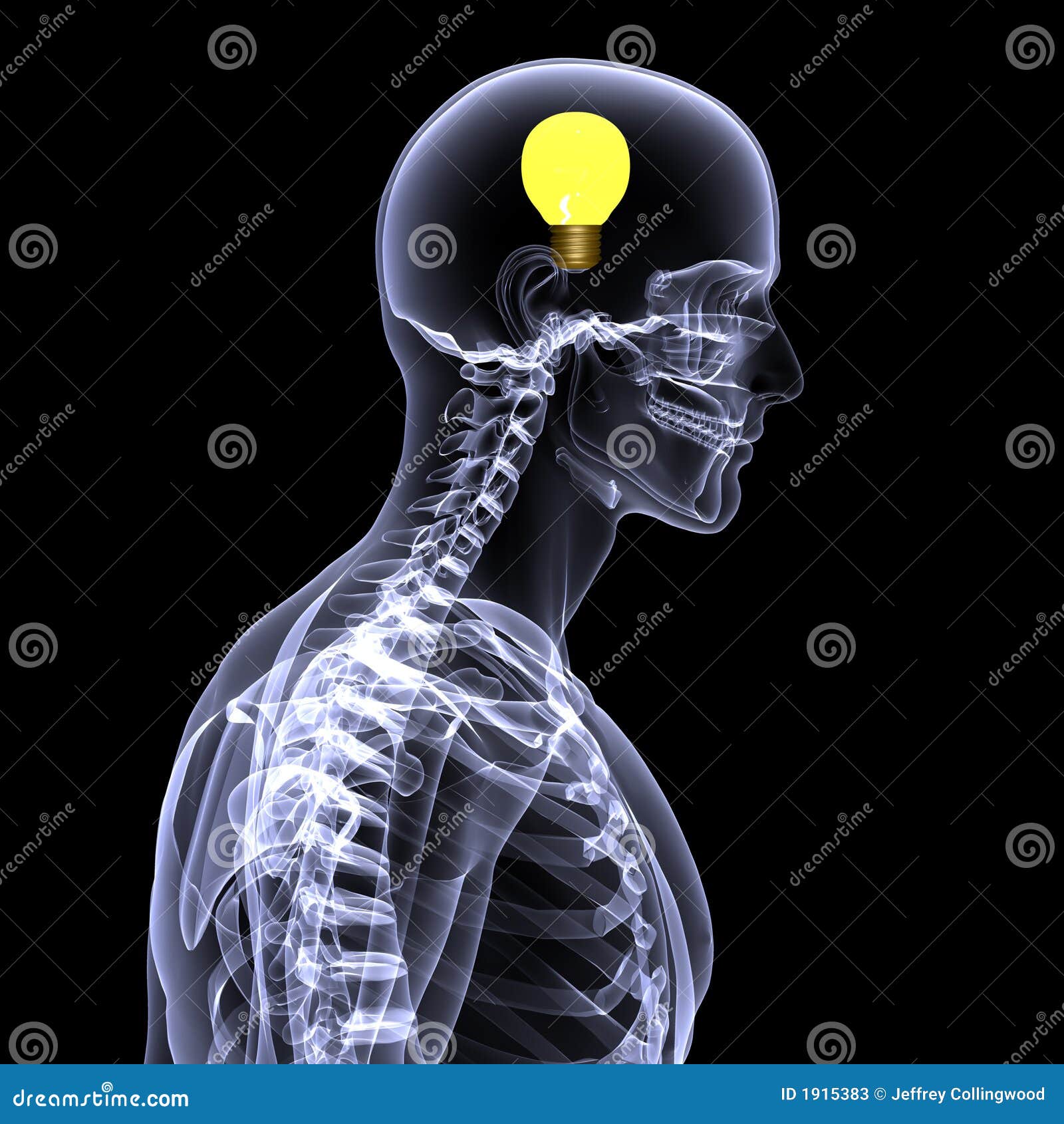 Skeleton Thinking Vector Illustration | CartoonDealer.com #21881964