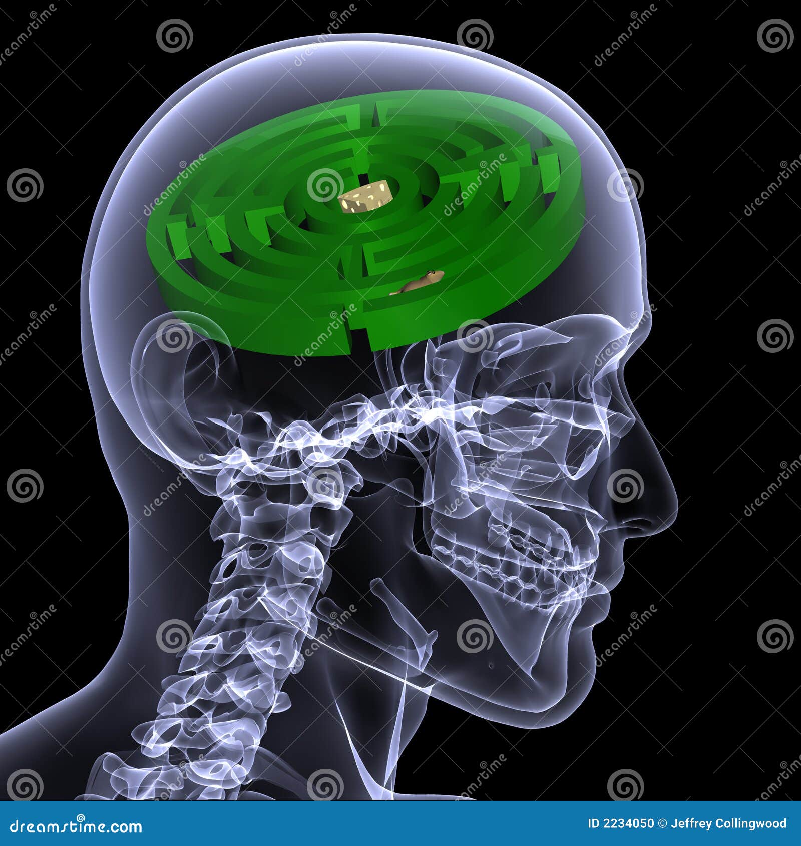 Skull Maze For Kids, Halloween Riddle For Children Books, Logical ...