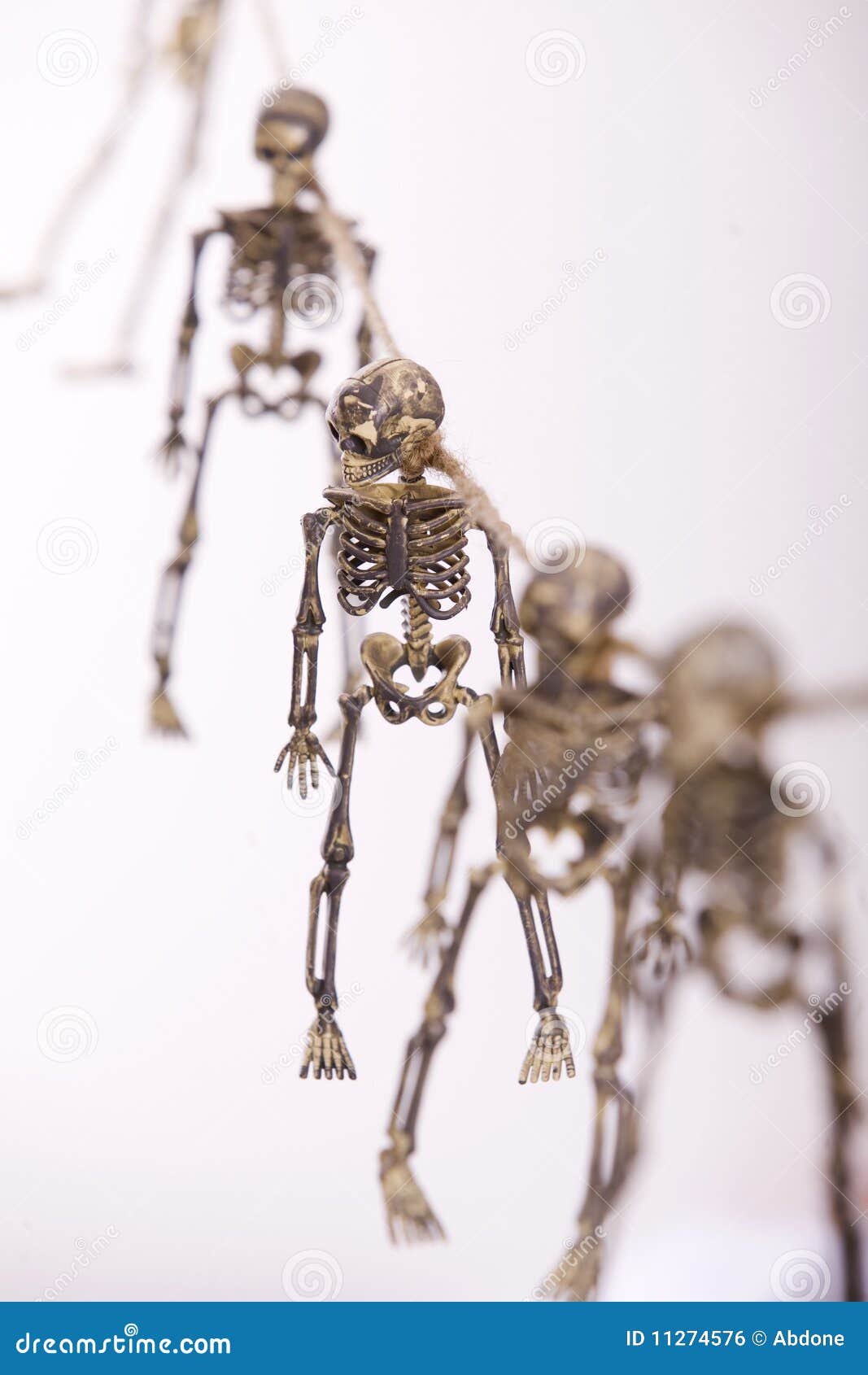 Skeletons stock photo. Image of treat, symbol, scary - 11274576