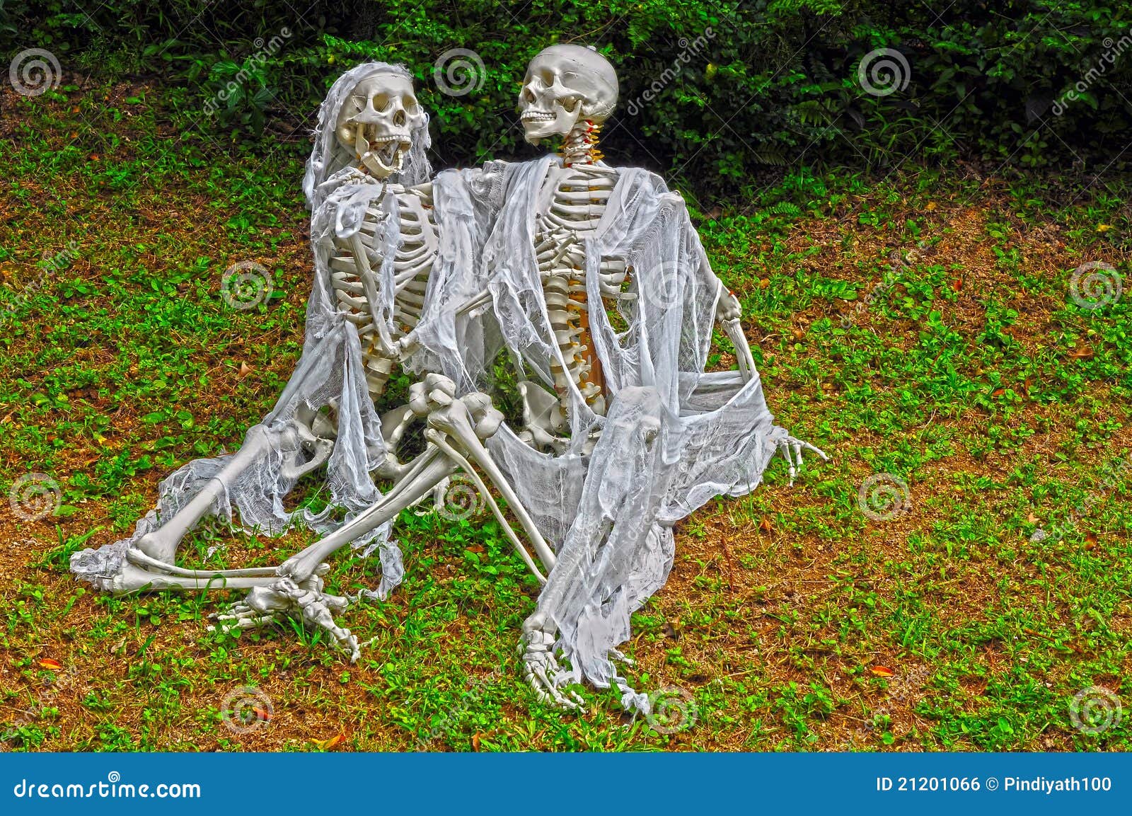 Skeletons stock photo. Image of horror, frightening, scary - 21201066