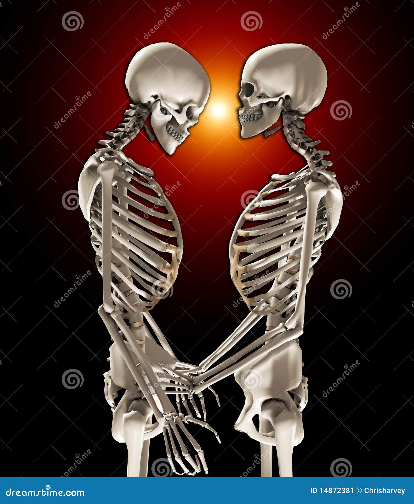 Skeletons in Love stock illustration. Illustration of heath - 14872381