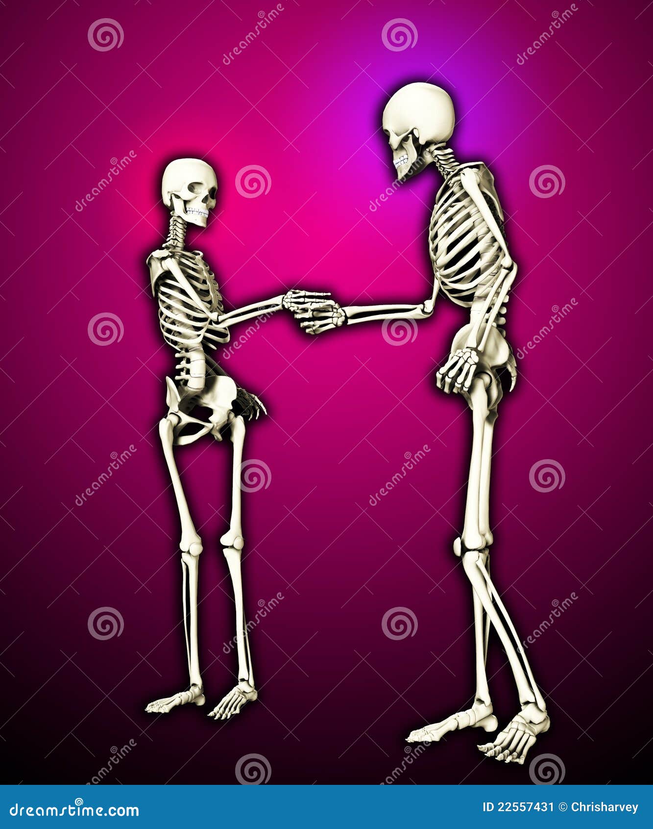 Skeletons Meeting stock illustration. Illustration of friendship - 22557431