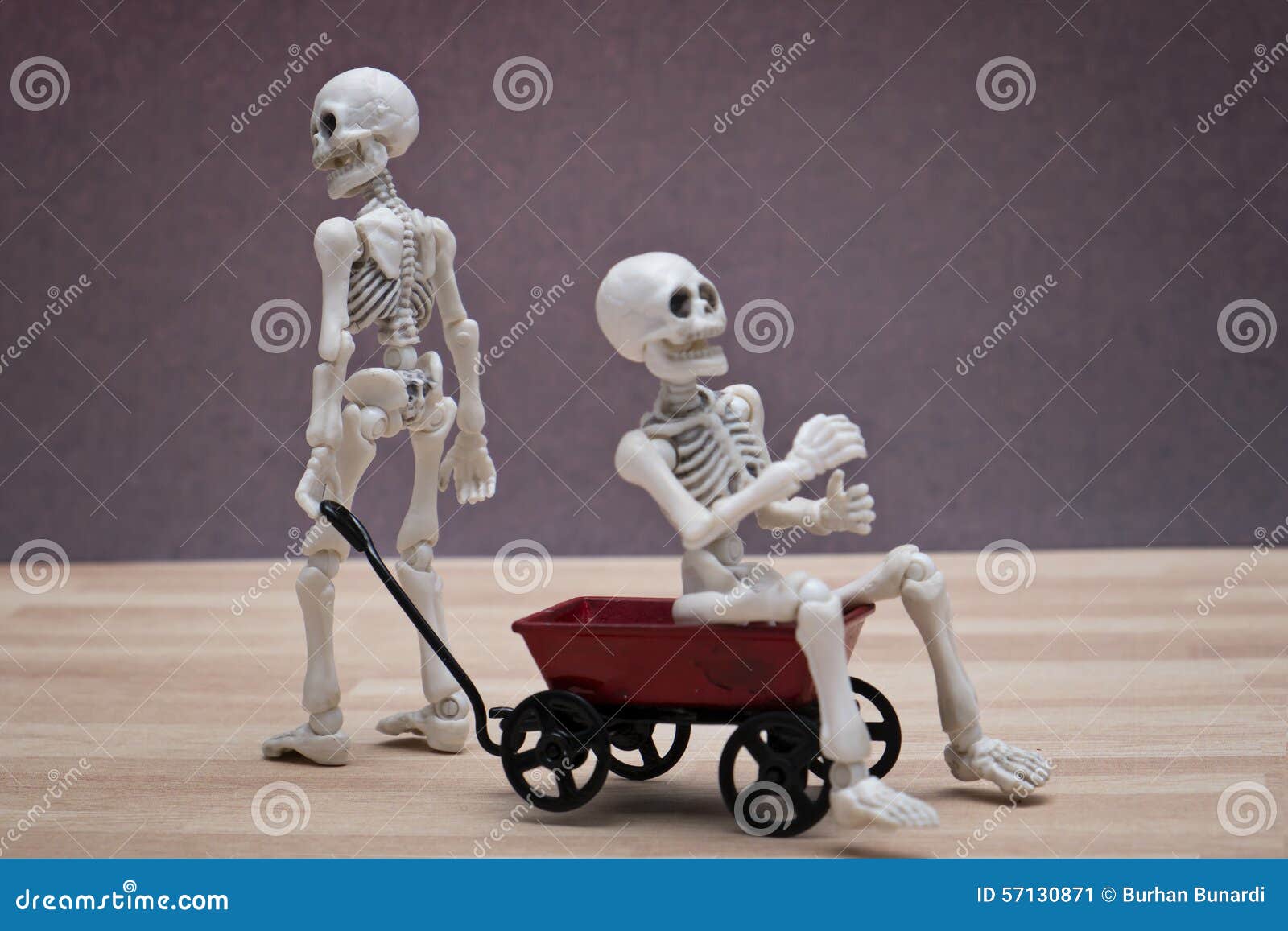 Skeletons stock image. Image of childhood, skull, horror - 57130871