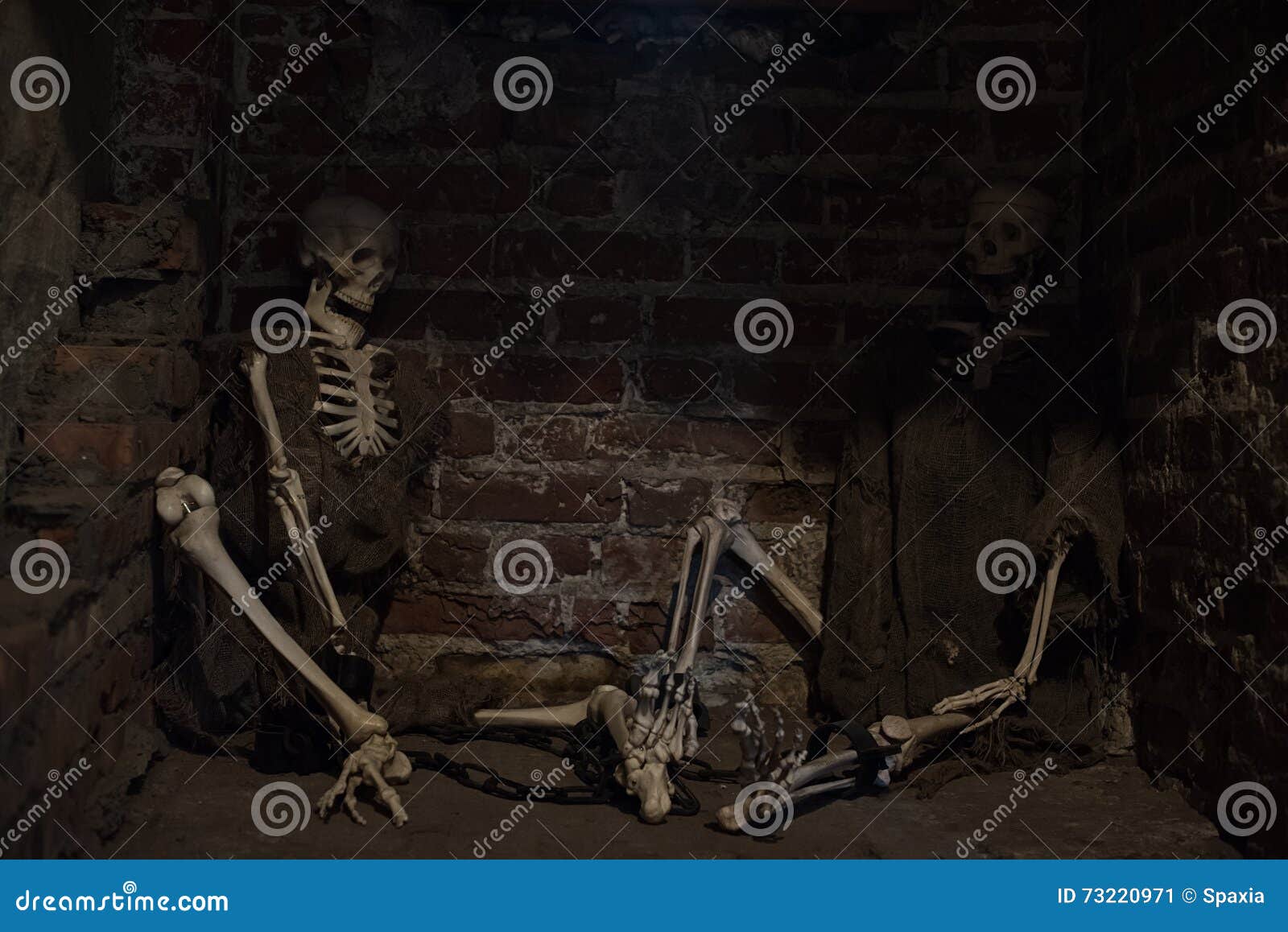 Skeletons in prison stock image. Image of shackles, prison - 73220971