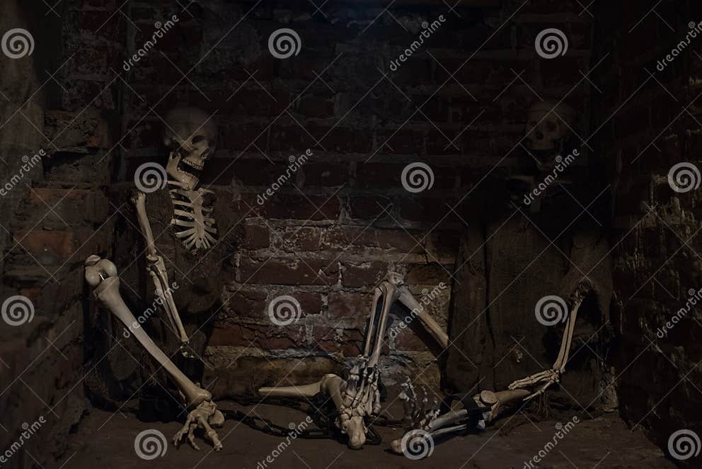 Skeletons in prison stock image. Image of shackles, prison - 73220971