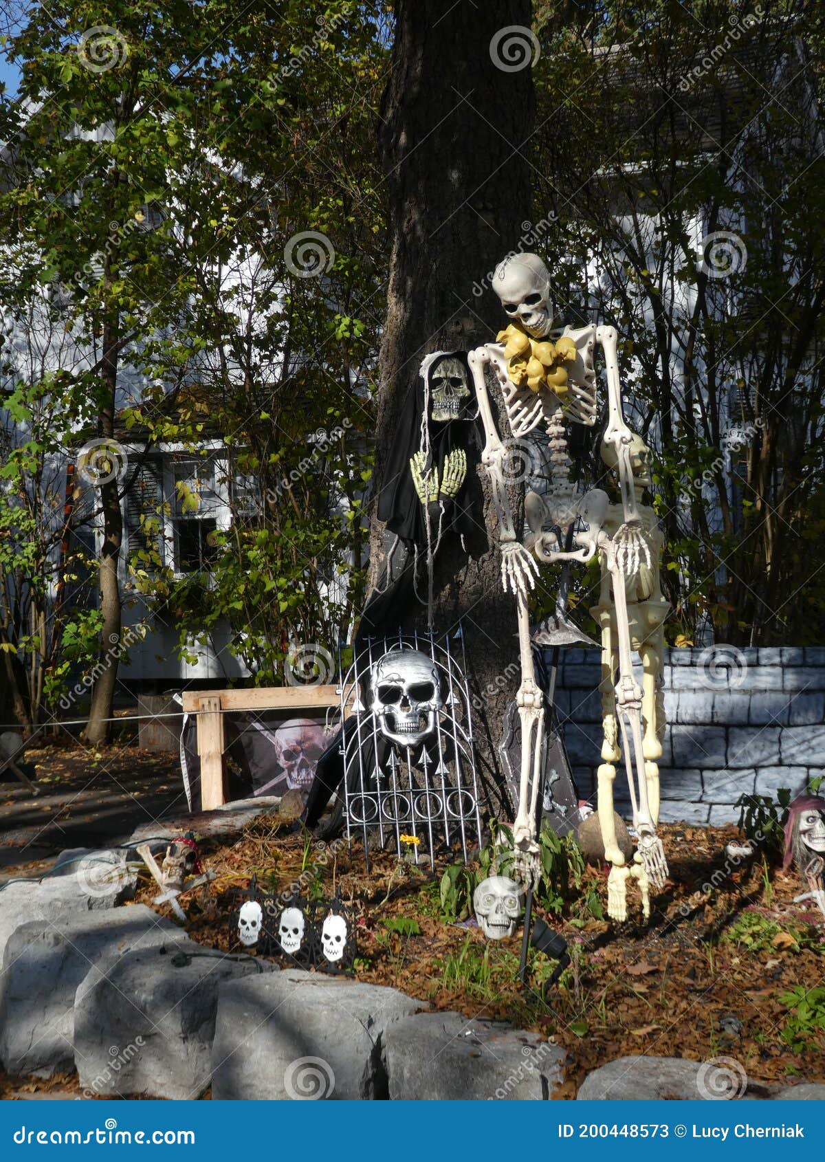 Halloween Skeleton editorial stock photo. Image of scary - 200448573