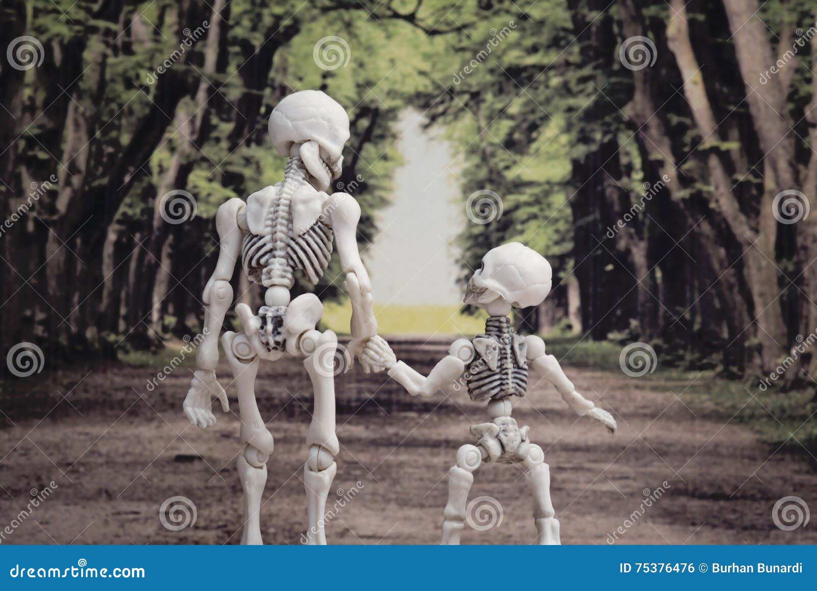 Skeletons in the wood stock photo. Image of family, dead - 75376476