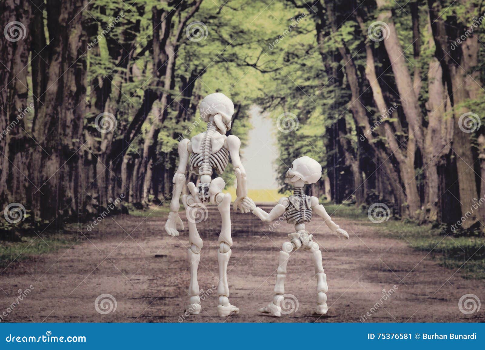Skeletons in the wood stock image. Image of childhood - 75376581