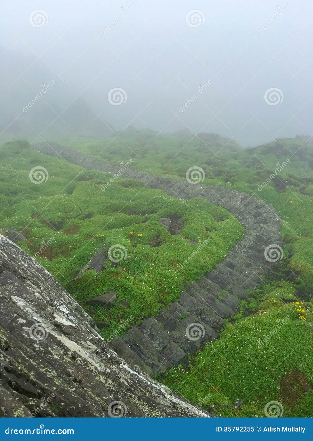 Skellig Skellig Michael Felsen, Irland Stockbild - Bild von praxis ...
