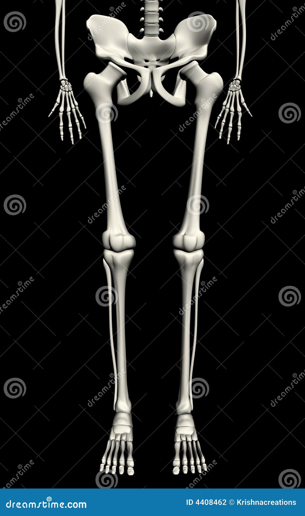 Skelton stock illustration. Illustration of imagination - 4408462