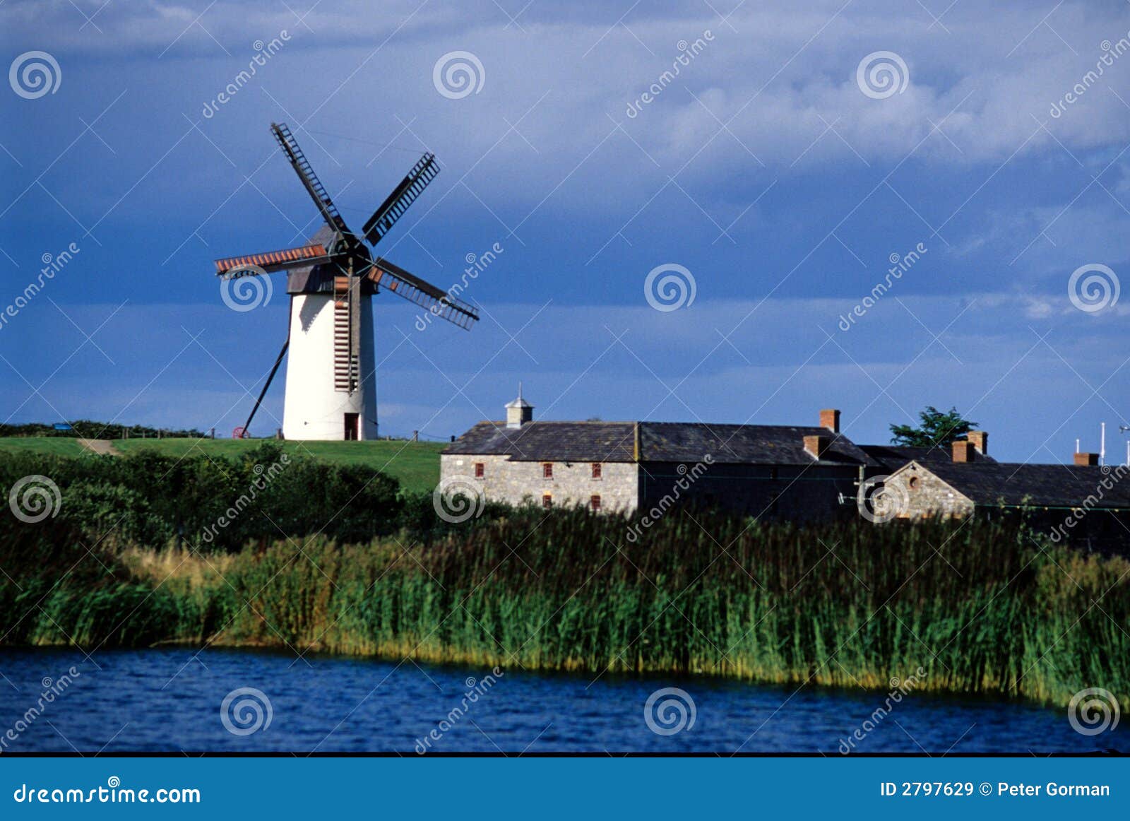 Skerries Windmills 2 stock image. Image of bulrushes, ireland - 2797629