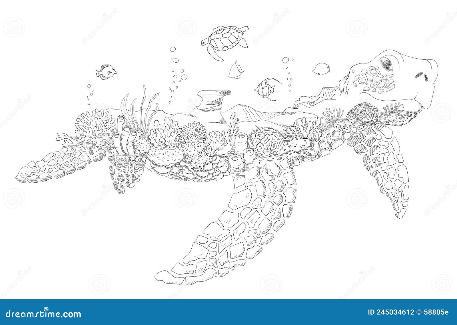 Line Art Turtle Sketch Pencil Drawing Deep Sea Fish Aquarium Coral ...