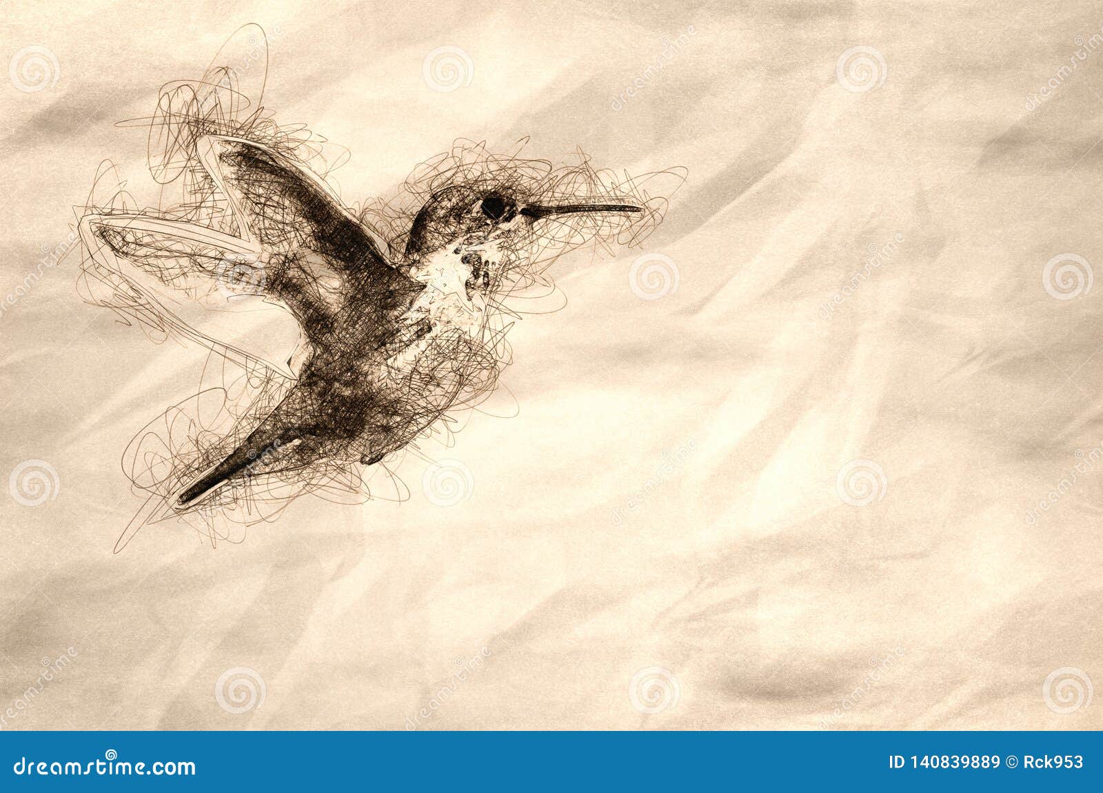 Sketch of a Little Rufous Hummingbird Hovering in Flight Deep in the ...