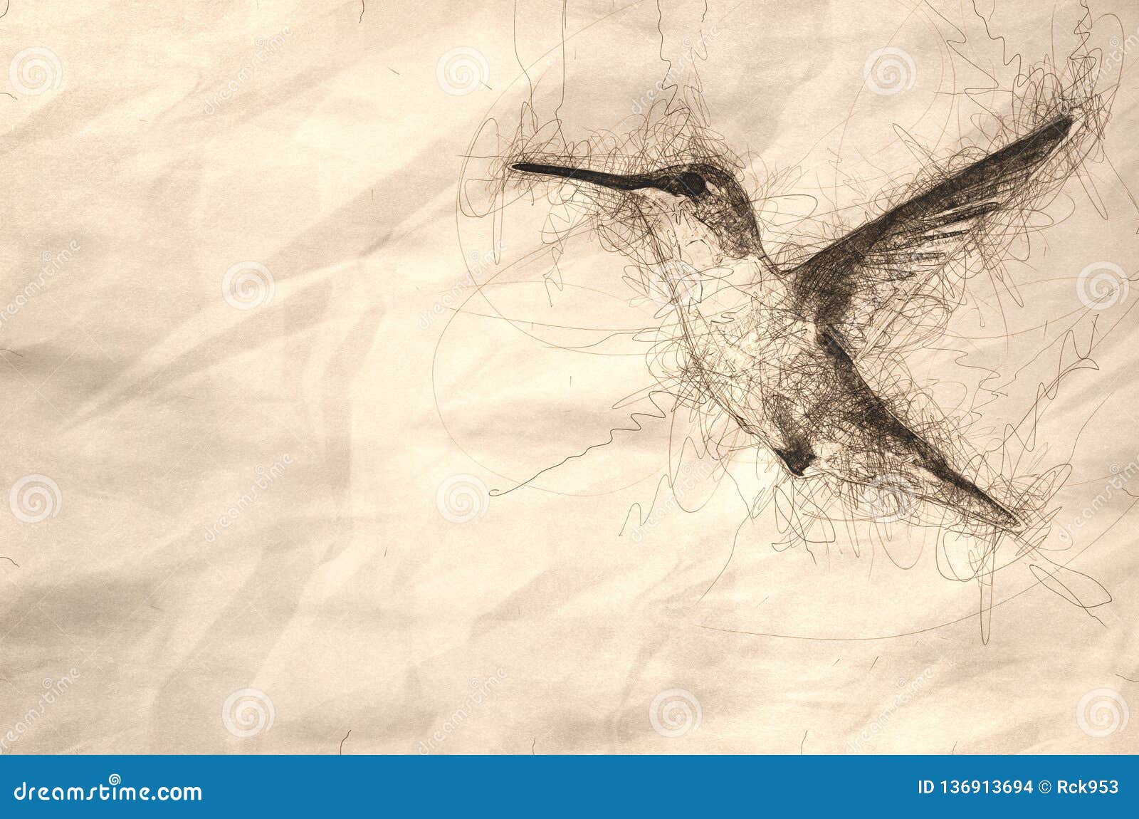Sketch of an Adorable Rufous Hummingbird Hovering in Flight Deep in the ...