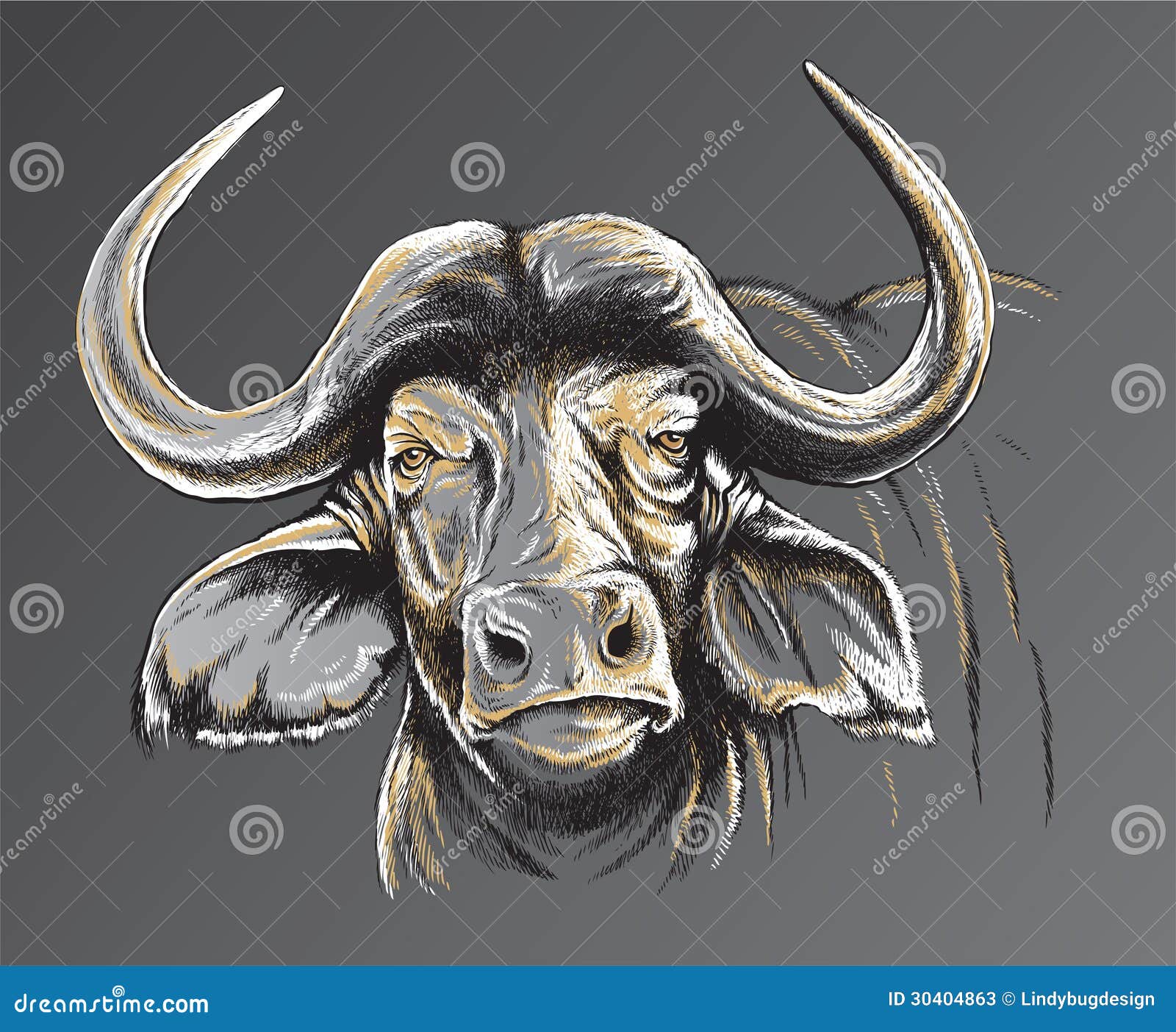 Sketch of an African Buffalo S Face Stock Vector - Illustration of ...