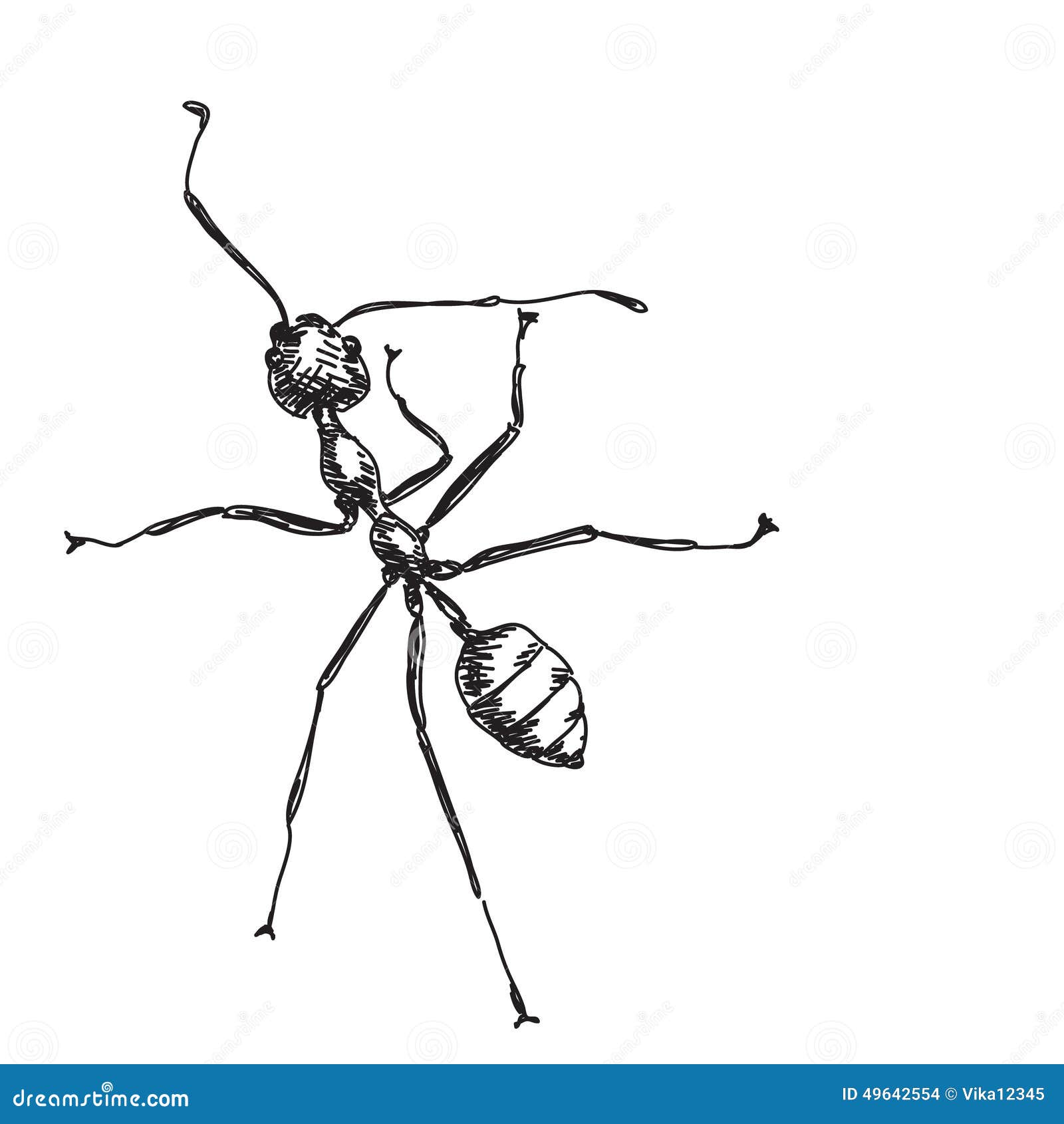 Sketch of ant stock vector. Illustration of doodle, stroke - 49642554