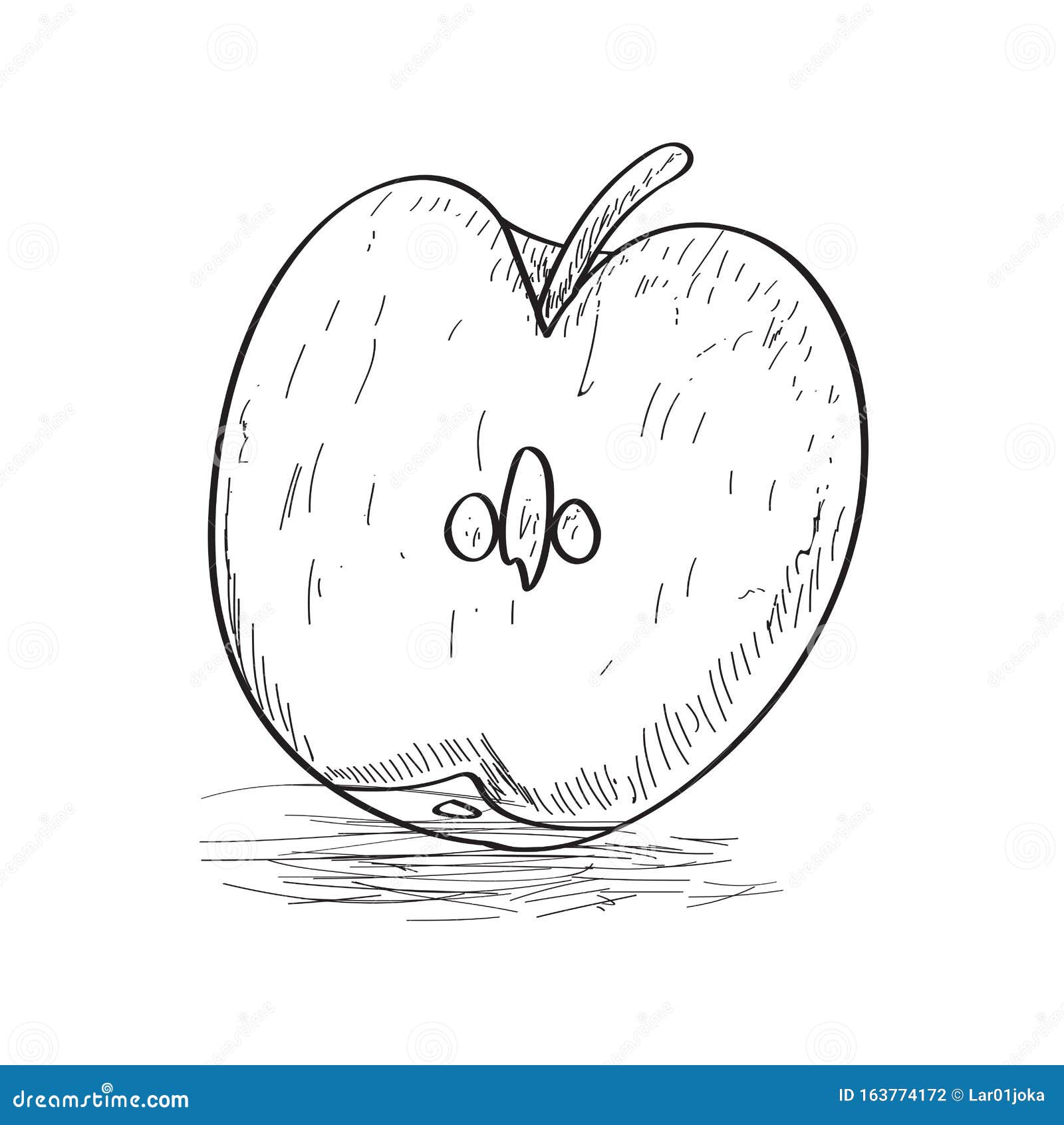 Sketch of an apple cut stock vector. Illustration of vintage - 163774172