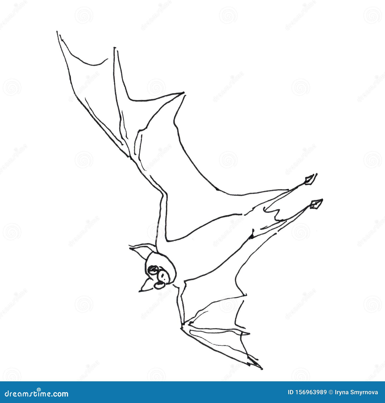 The sketch of the bat stock image. Image of fear, deco - 156963989