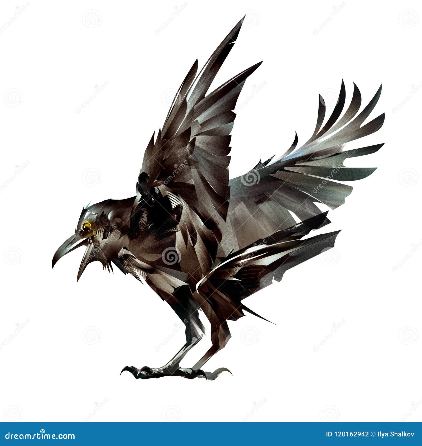 Illustration Bird Crow Jackdaw Stock Illustrations – 180 Illustration ...