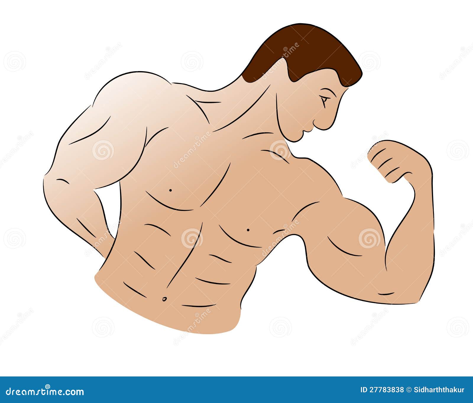 Bodybuilder Sketch Hand Drawn Silhouette Vector. | CartoonDealer.com ...